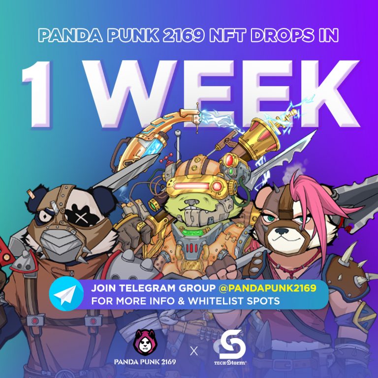 Panda Punk 2169: The Art of NFTs